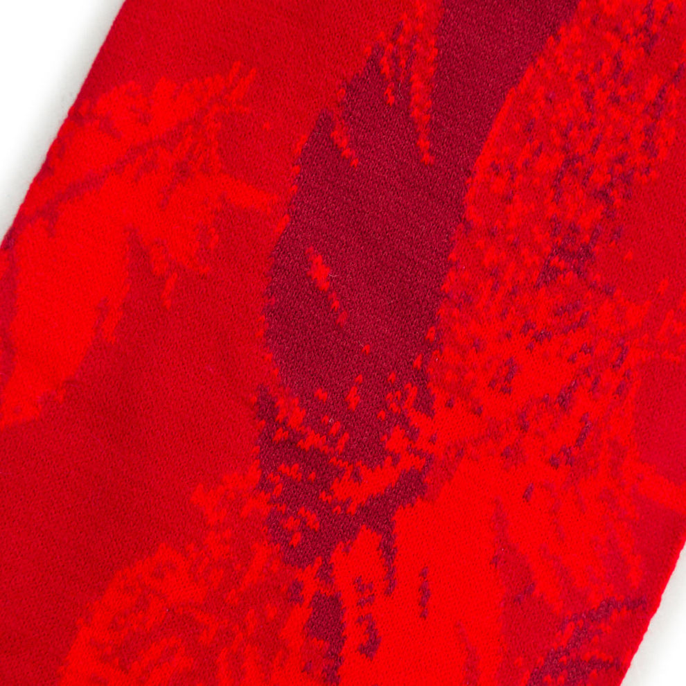 2026 RED ROBIN ALTERNATE KIT SCARF – Hull KR